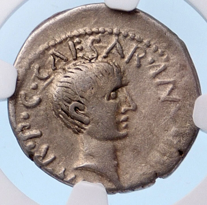 Lepidus Julius Caesar