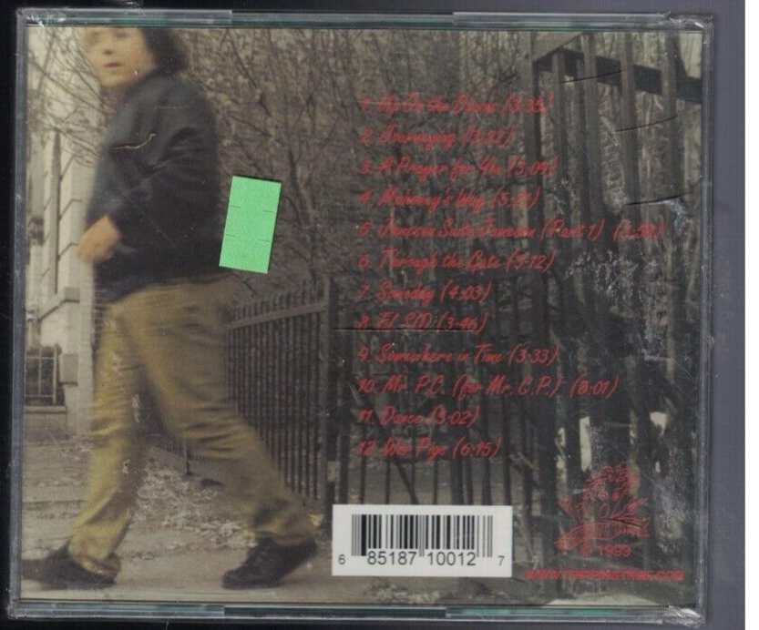 Through The Gate by Ken Serio (CD, 1999, Tripping Tree) Still sealed ...