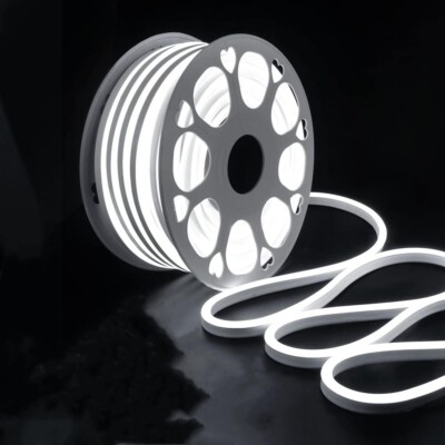 US 110V LED Neon Light Strip Outdoor DIY ADs Signs Home Garden Store ...