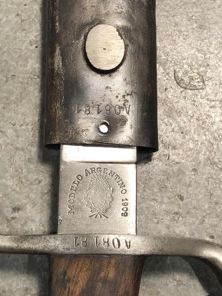 CREST INTACT WW1 Era Argentine Engineers Sword German Made | eBay Australia