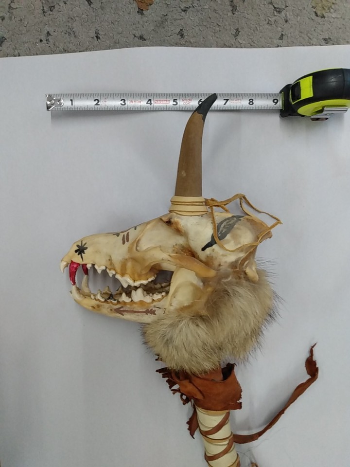 Vintage Native American Cherokee Skull Ceremonial Stick | eBay