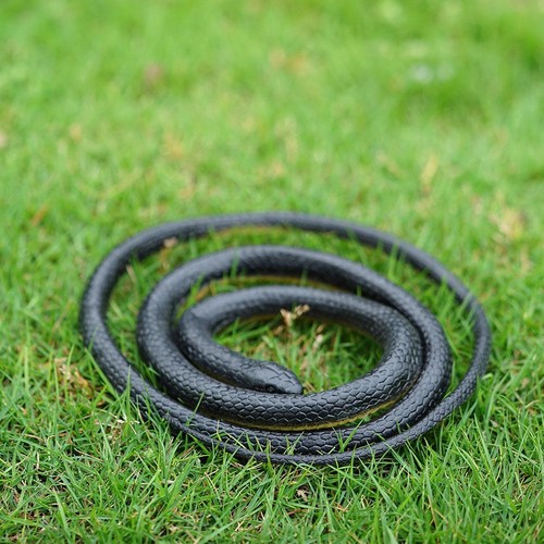 Realistic Snake Prank w/ String Clip,Snake on a String Prank That Chase ...