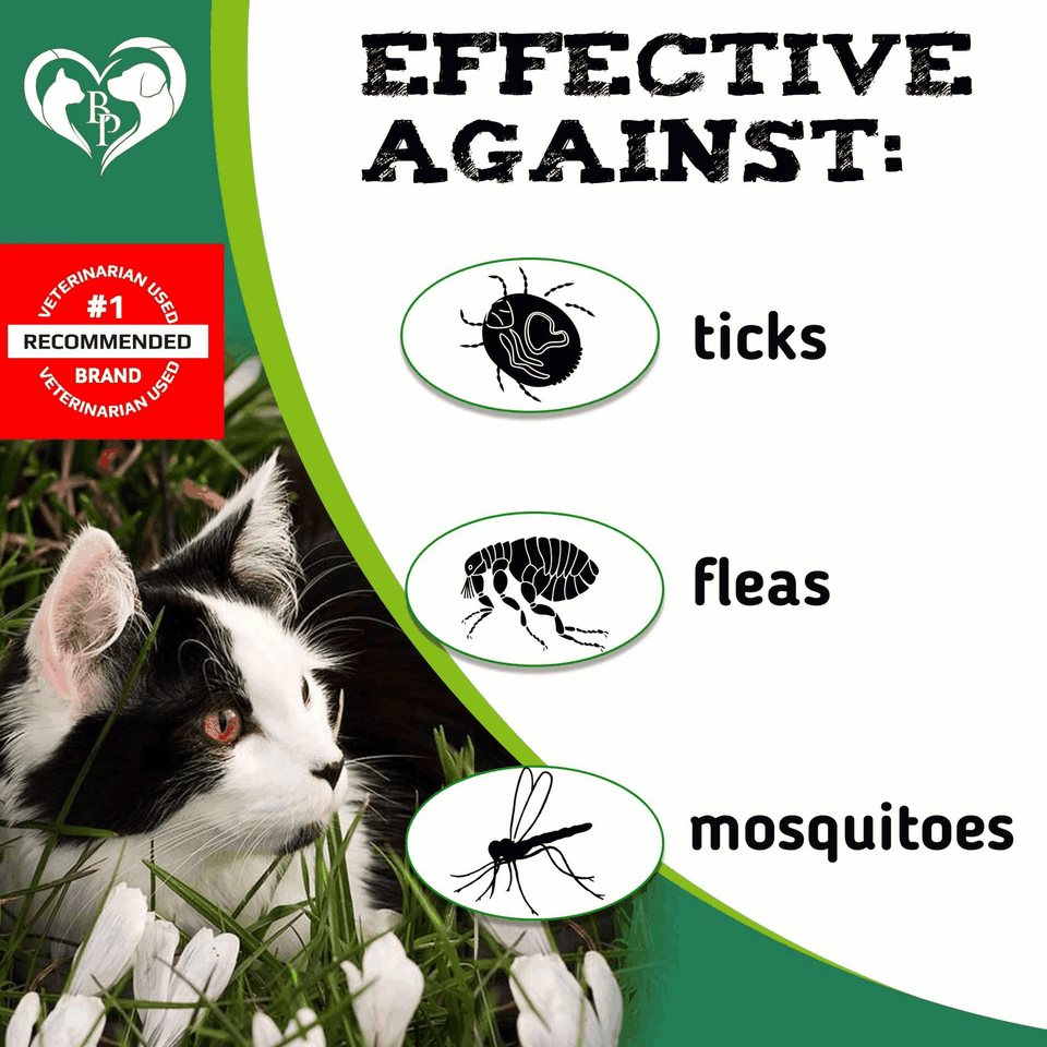 Insects Prevention Chewable Pills for Cats Revolution Oral Treats for ...