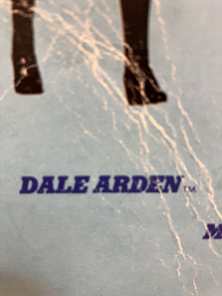 Flash Gordon Dale Arden Palitoy Vintage Figure Mego 1976 Card Back Only ...