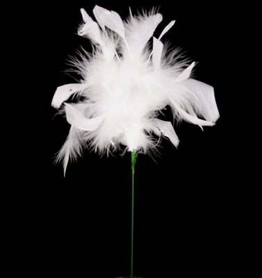 Feather Pick Spray 14" Tall (12 Piece Package) Choose Color | eBay