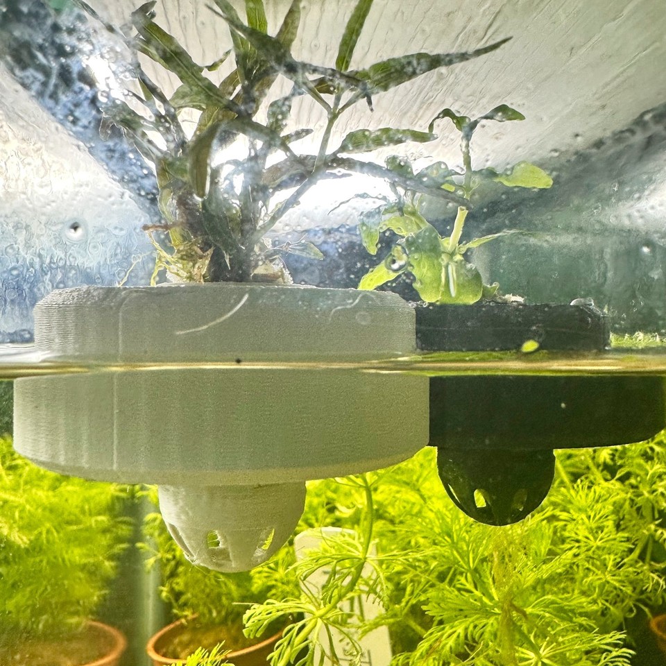 Aquarium Floating Planted Mini Plant Pot & Aquatic Live Plants / Nano ...