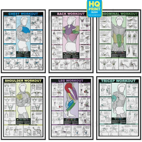 GYM WORKOUT POSTER ALL BODY Abs Bicep Chest Back Tricep Leg Exercise A4 ...