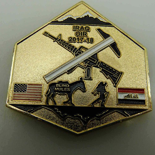 791ST EN DET FEST-A IRAQ OIR 2017-18 BLIND MULES CHALLENGE COIN | eBay