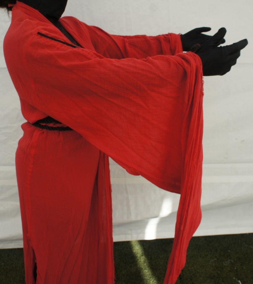 Medieval Occult Sheer Ritual Robe Halloween Witch Larp pagan Martial ...