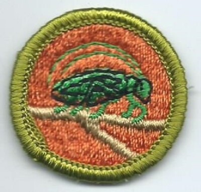 Insect Study Merit Badge Type G (cloth back), 1961 - 71 | eBay