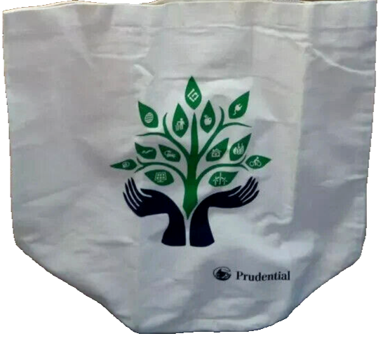 Prudential CANVAS Tote Bag Off White Green Black LOGO 15 x 14 x 5 Free ...