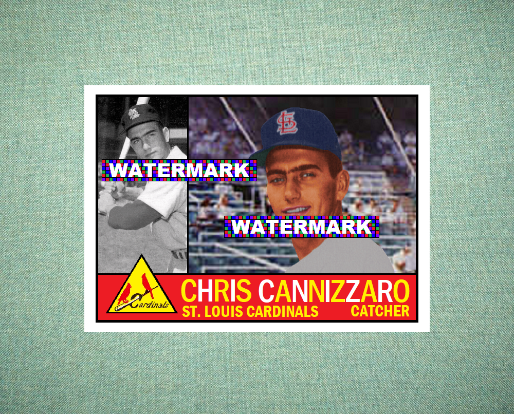 Chris Cannizzaro St Louis Cardinals 1960 Style Custom Baseball Art Card ...