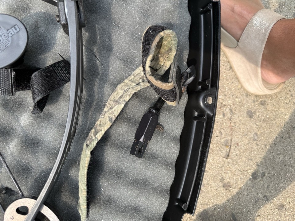 Alpine Archery Compound Bow | eBay