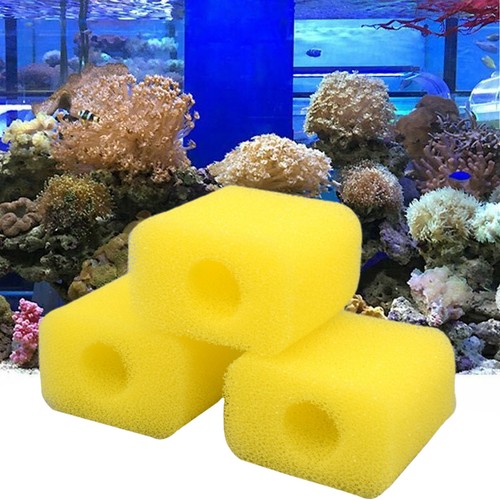 5Pcs Aquarium Fish Tank Inlet Replacement Aquarium | eBay Australia