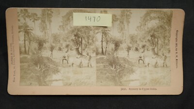 KILBURN 1901 Stereoview - Scenery in Upper INDIA #14111 | eBay