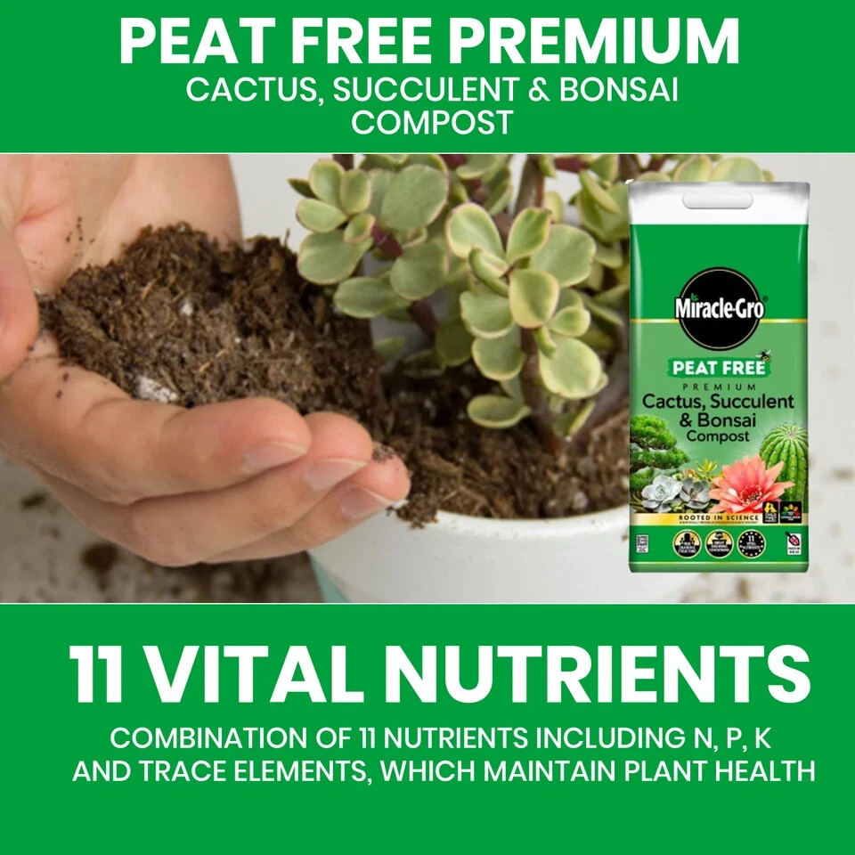 CACTI SUCCULENT COMPOST BONSAI CACTUS SPECIAL PLANTS PEAT FREE MIRACLE ...