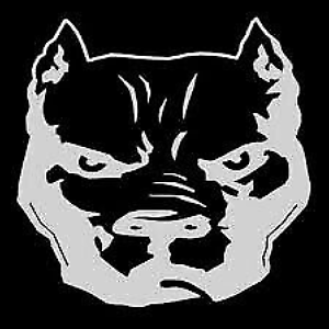 Pit Bullion | eBay Stores