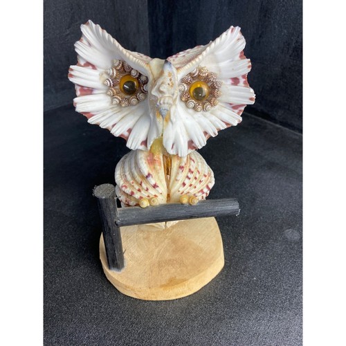 Sea Shell Owl Decorative Figurine Statue Decorative Coastal Ocean Beach ...