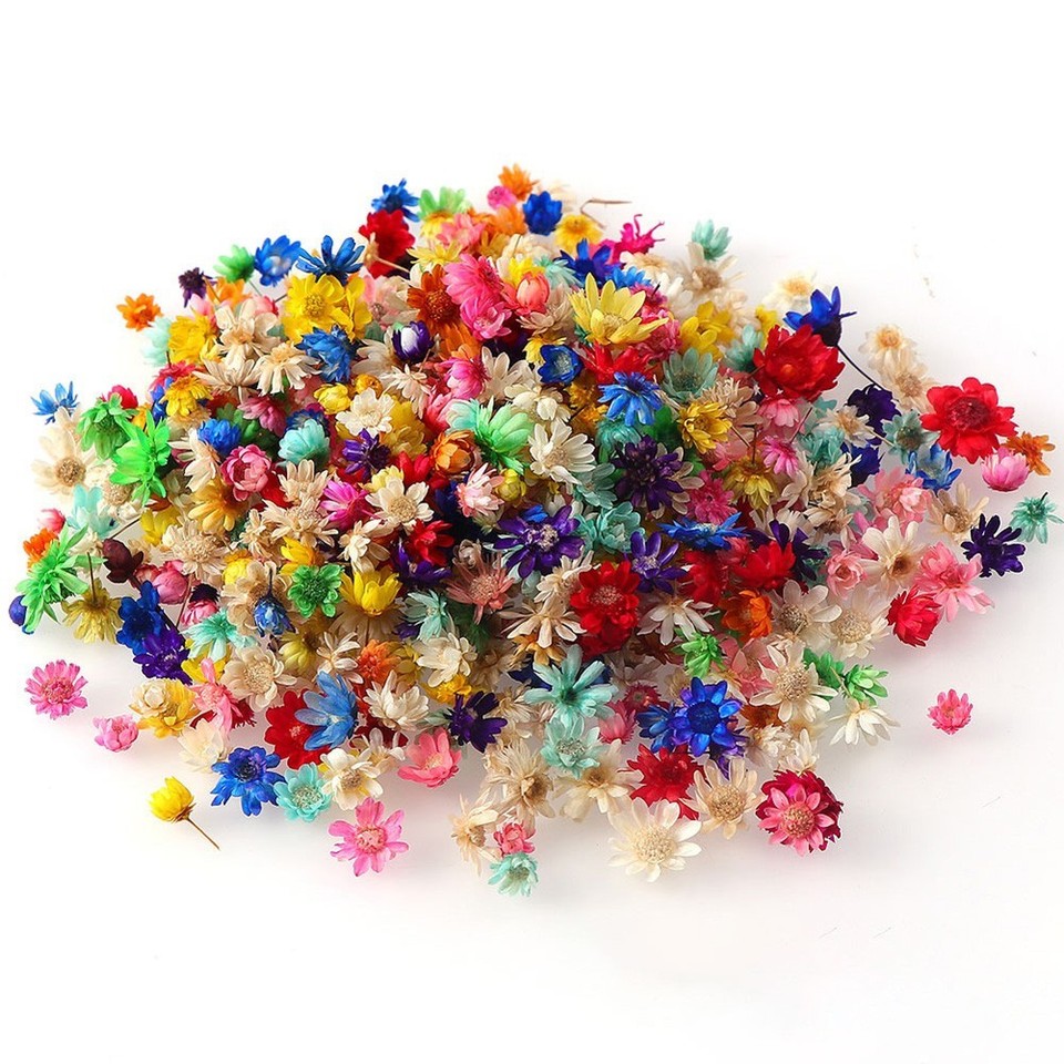 Miniature Colorful Flower Set Perfect for Creative Art Projects 100 PCS ...
