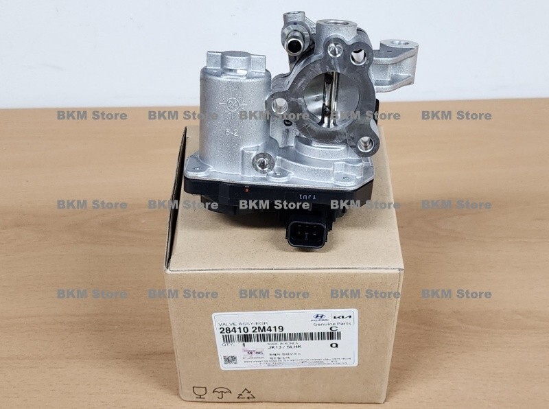 Genuine 284102M419 EGR Valve Assy for Sonata, Santa Fe, Tucson, K5 ...