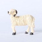 6PCS Sheep Toys Animal Figurines dollhouse Miniature Resin Ornament ...