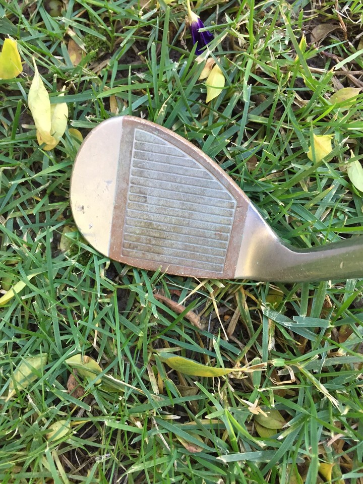 Carbite Tour Insert 5614 Wedge Series Sand Wedge True Temper Shaft ...