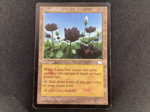 MTG Weatherlight LOTUS VALE MP (7718) Graded Power | eBay