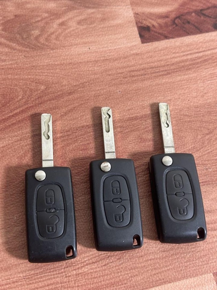 Citroen Flip Key 3-Button Set Used Key Fob, with Emblem, Custom Fit pp1 ...