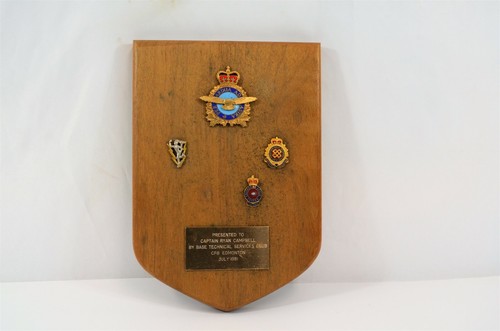 RCAF Plaque Pins Royal Canadian Air Force Logistics Service Medic ...