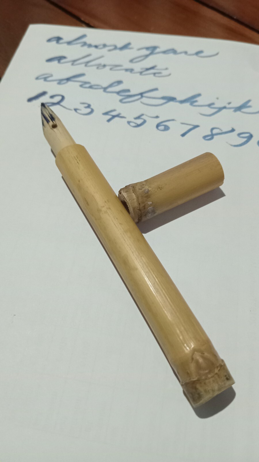 Dip Pen Reed Bamboo Pen Broad Nib Calligraphy Pen for Art & Calligraphy ...