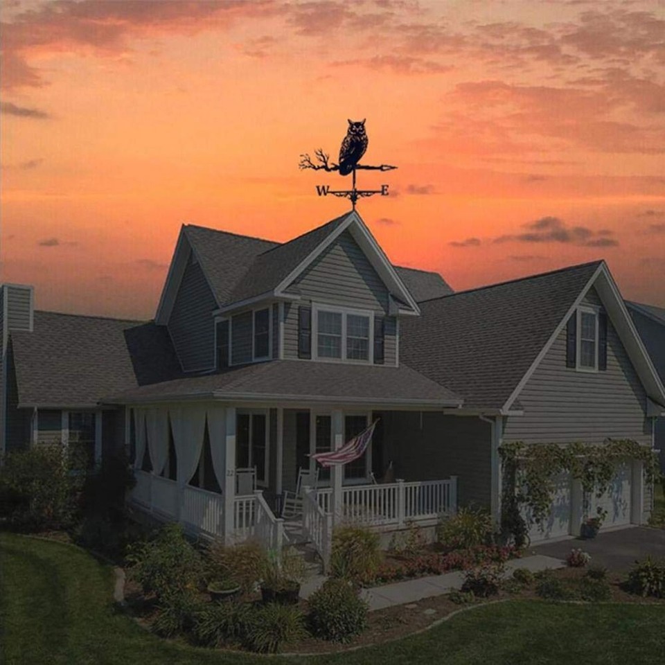 Owl Weather Vane Black Weathercock Creativity Wind Vane | eBay Australia