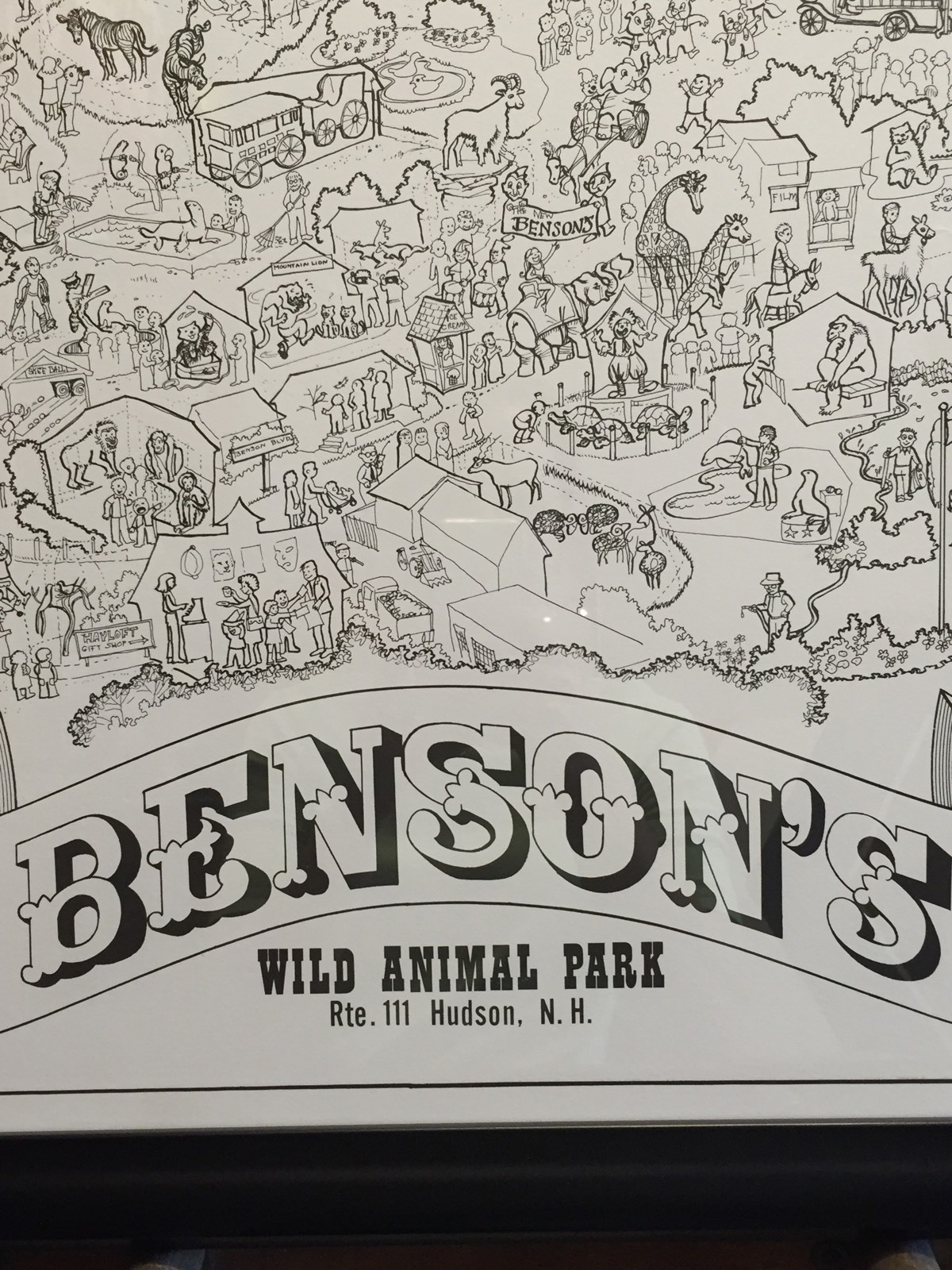 Cool Vintage 1980 BENSON'S Wild Animal Park Zoo NH Large Coloring ...