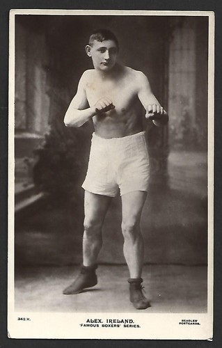 AOP - ALEX IRELAND Boxer vintage real photo postcard Beagles 342.V | eBay