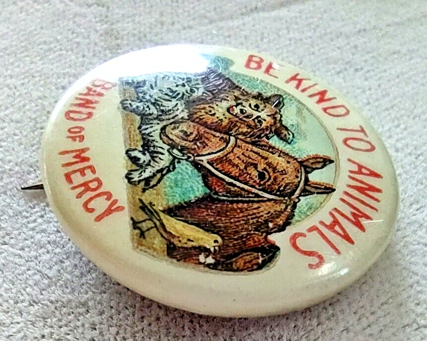 Antique Celluloid Be Kind to Animals Band of Mercy Pledge Pin Back ...