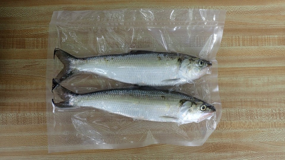 SKIPJACK - CATFISH CANDY! 2-PACKS For a Total of 20 Premium Fish! Msg ...