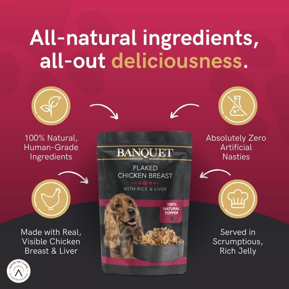 HiLife Banquet Wet Dog Food Flaked Chicken Breast Rice Liver 100% 15 x ...