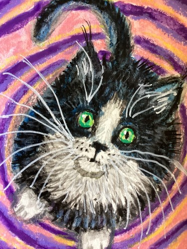 Tuxedo cat kitten neo color pastels original painting ACEO | eBay