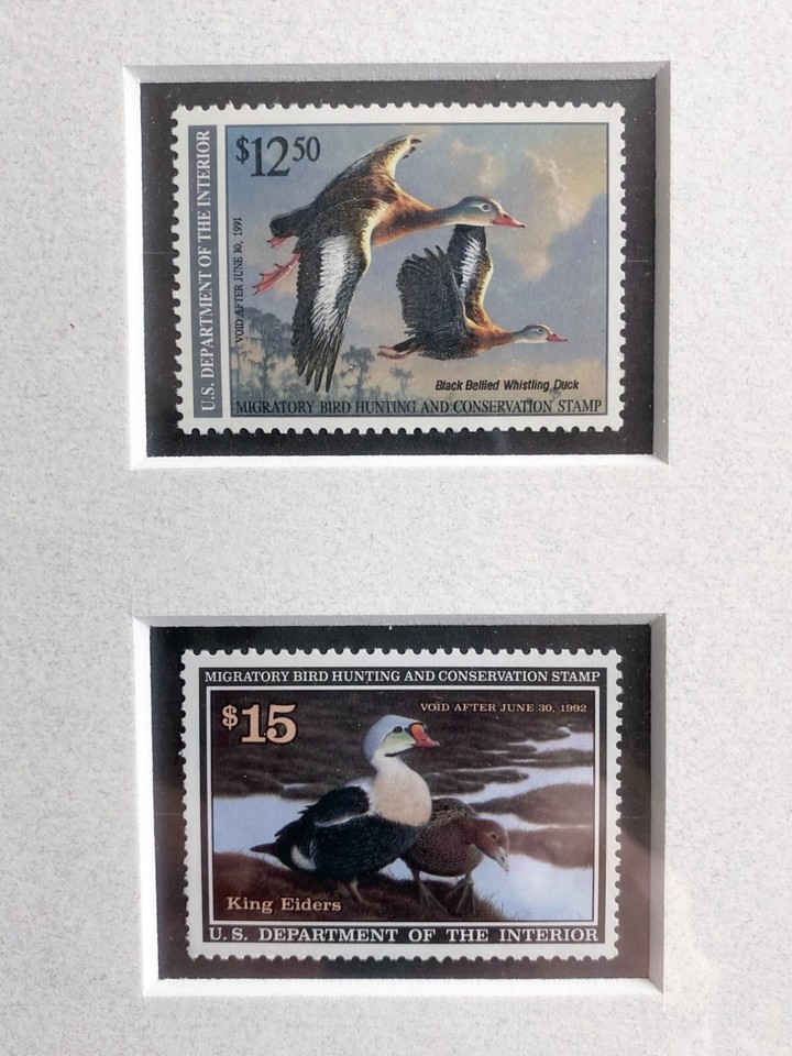🔥 40 Federal Duck Stamps 1960-1999 Custom Framed by Decade w/ Brass ID ...