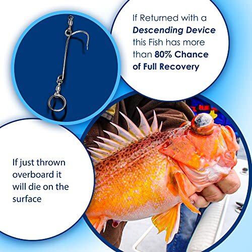fish descending return device - Compact & reliable release device built ...