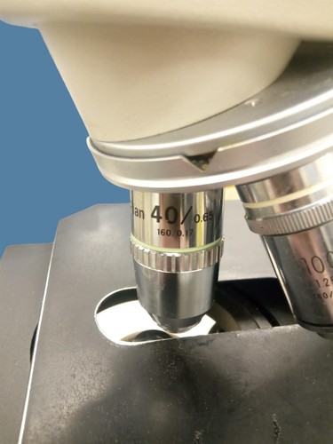 Nikon Labophot Microscope Binocular Biological Microscope w/ 4 ...