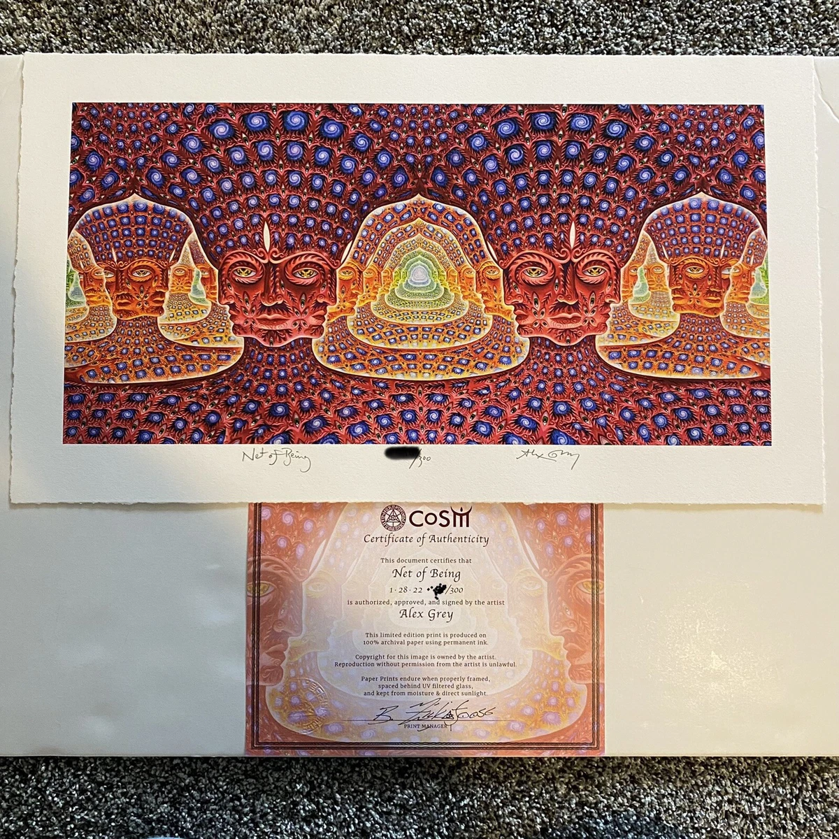Alex Grey Tool 10000 Days