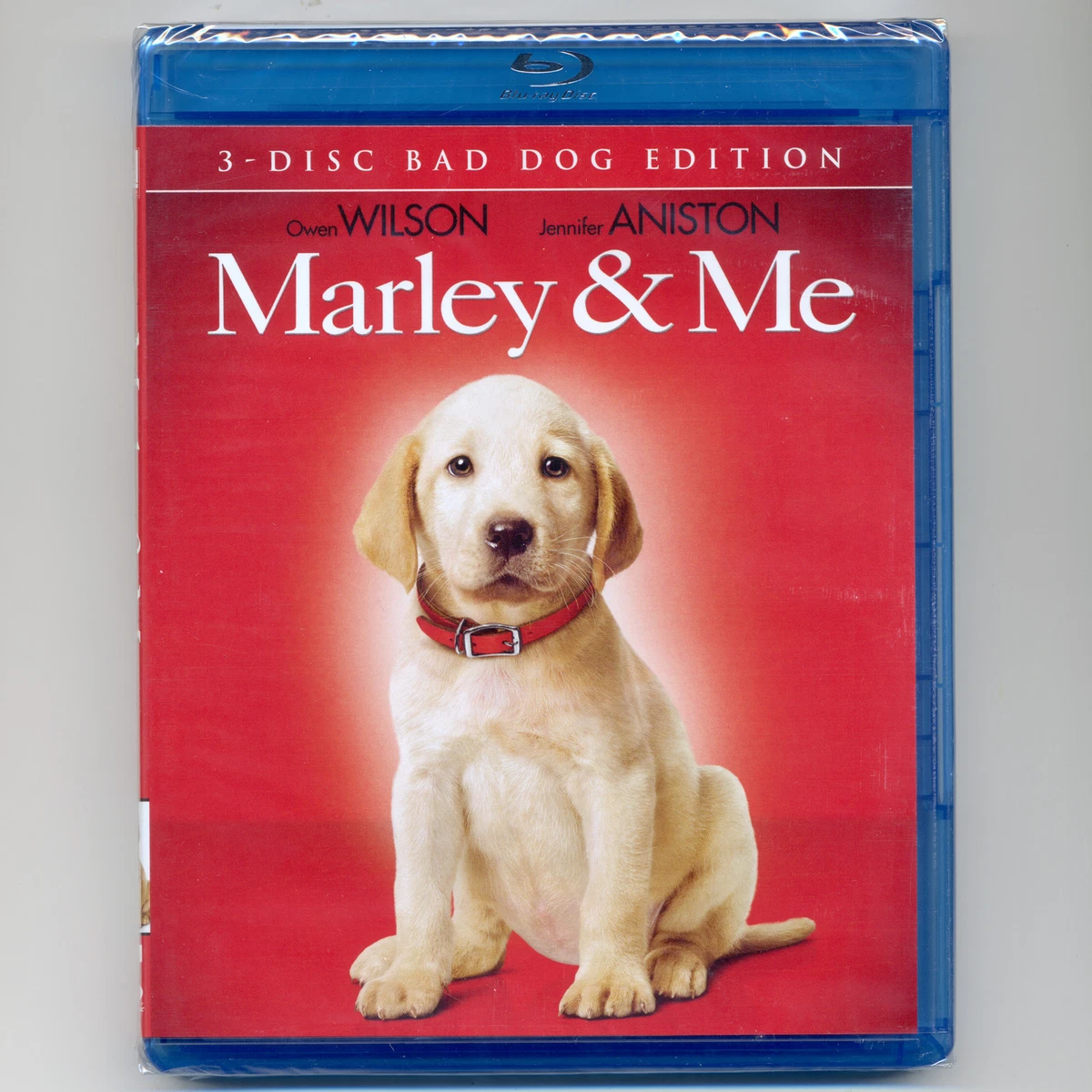 Marley And Me Movie Eric Dane