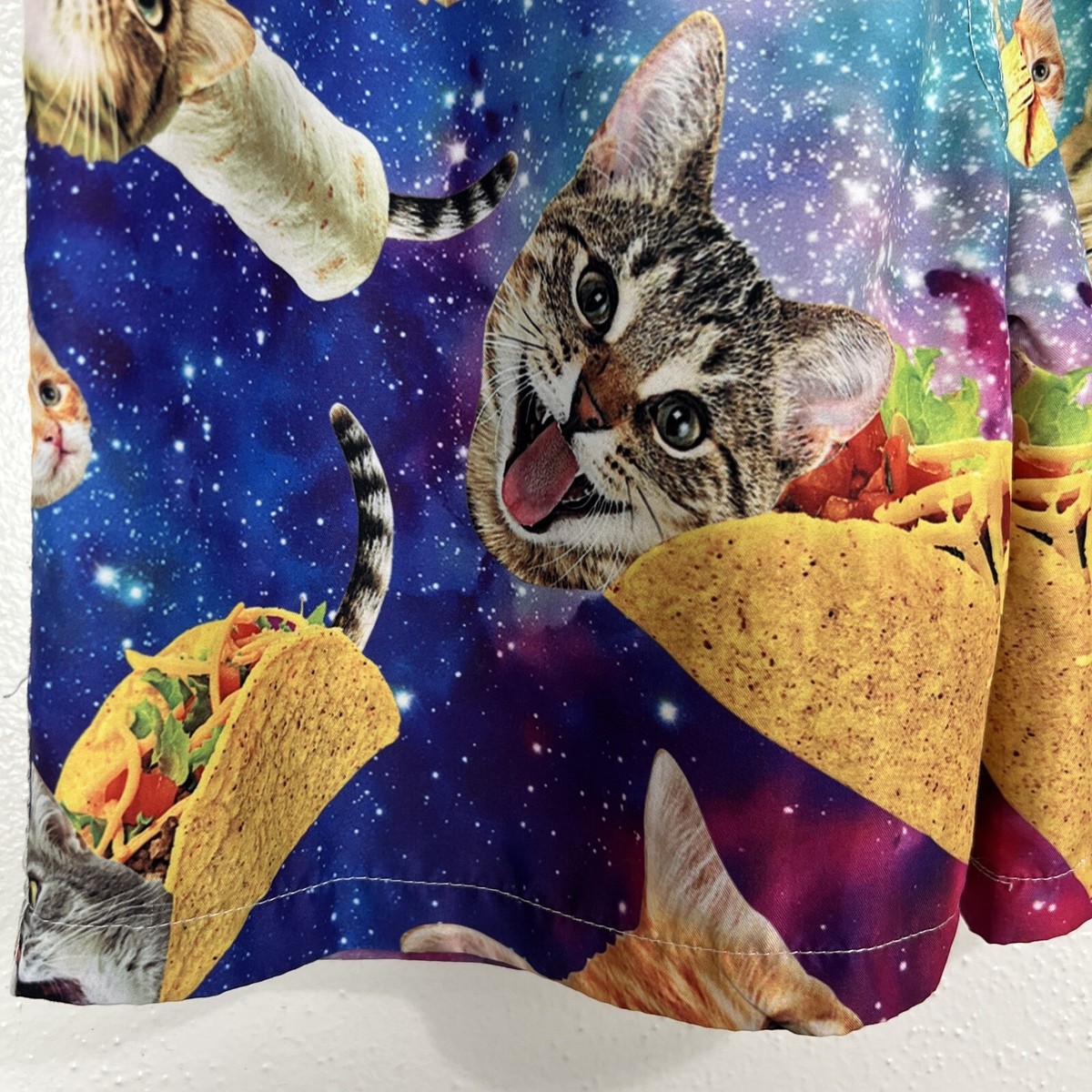 Galaxy Taco Cat