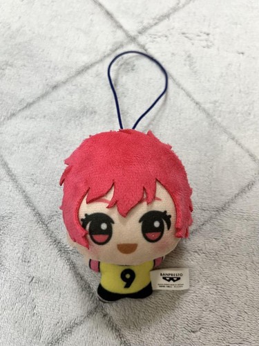 Blue Lock Chibigurumi Plush Doll Childhood Blue Lock Hyoma Chigiri ...