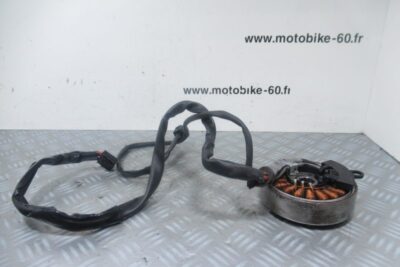 Rotor Stator Honda PCX 125 4t Ph2 | eBay