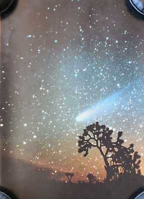 Original Photo March 20, 1986, " Comet Halley" Joshua Tree By ...