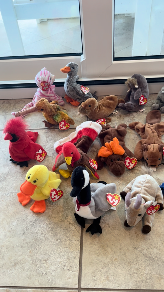 You Choose 10: Collection of Rare and Authentic TY Beanie Babies (1990 ...