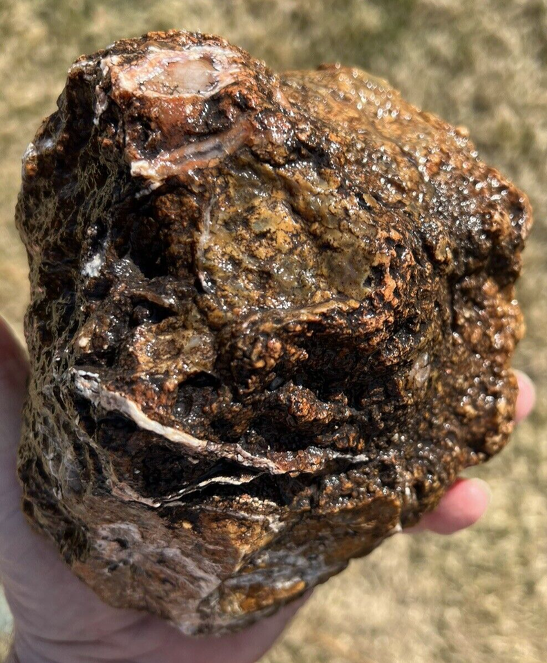 Utah Dinosaur Coprolite / Dino Poop / Dino Dung Nodule / 5+ pound ...