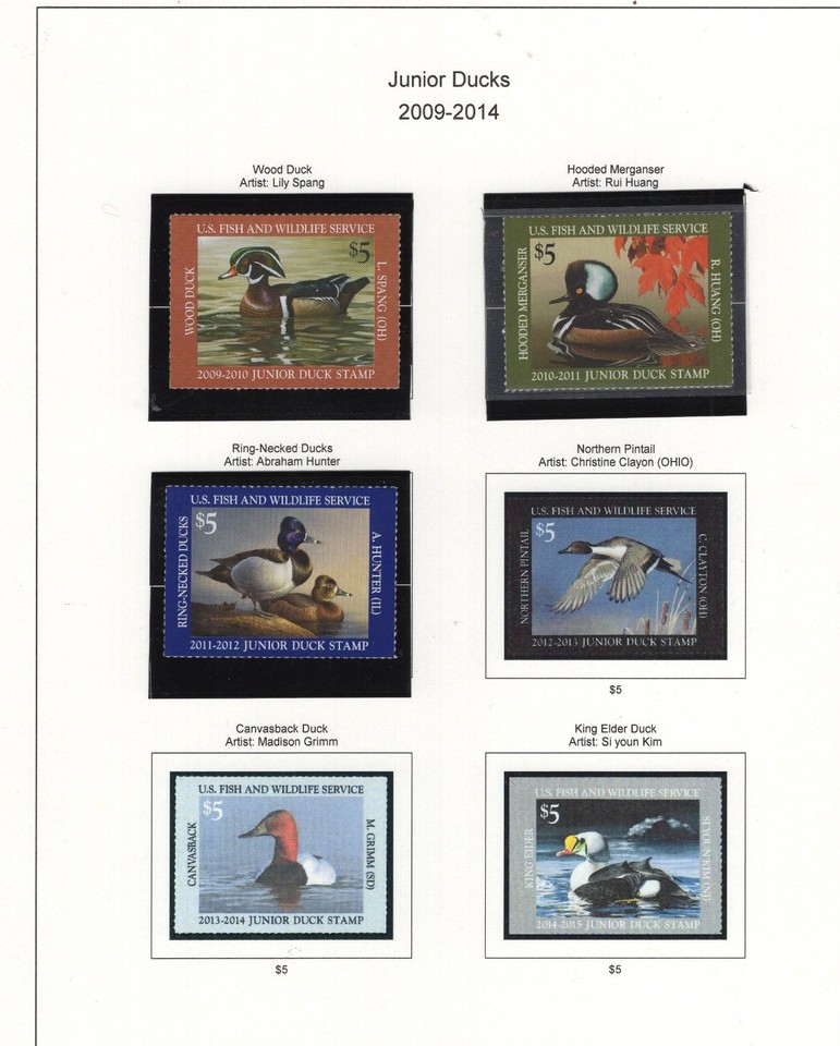 2002/2016 Junior Duck stamp Collection Mint NH | eBay