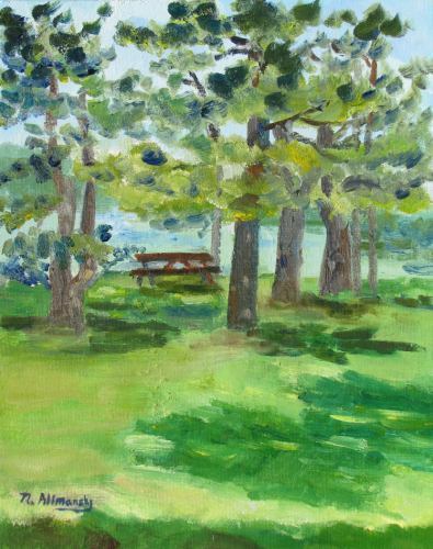 Off the Deep End : Diary of a Mathematician by Scott Axelrod (2012 ...